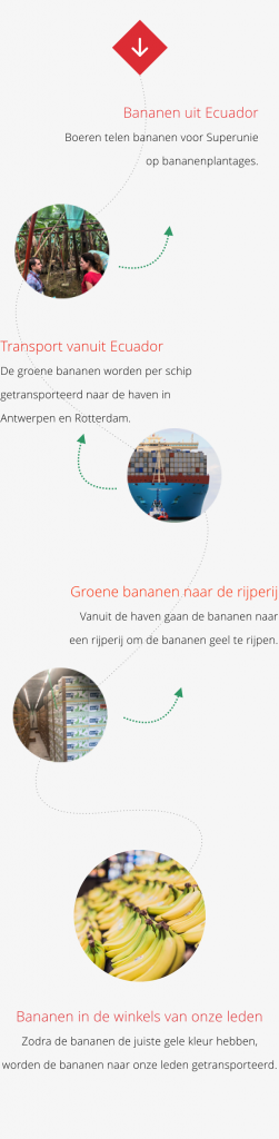 Bananen Superunie
